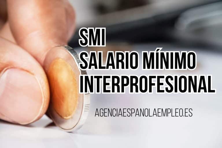 SMI: Salario Mínimo Interprofesional - Agencia Española de Empleo (2025)